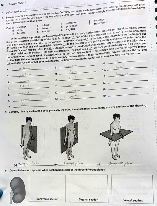 12 review sheet 1 5 define section terms are used more than once d ...
