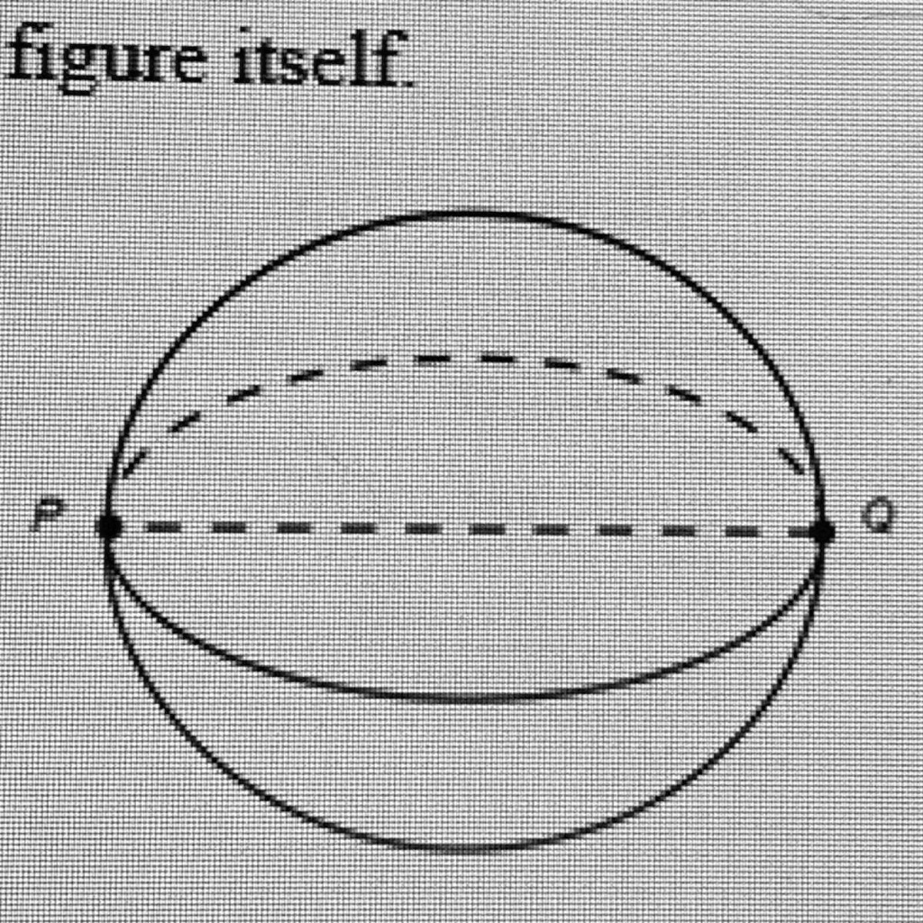 SOLVED: 'Name the following in the figure shown below the base or bases ...