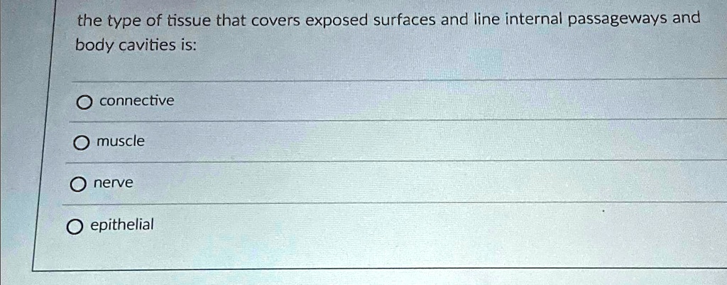 the type of tissue that covers exposed surfaces and line internal ...