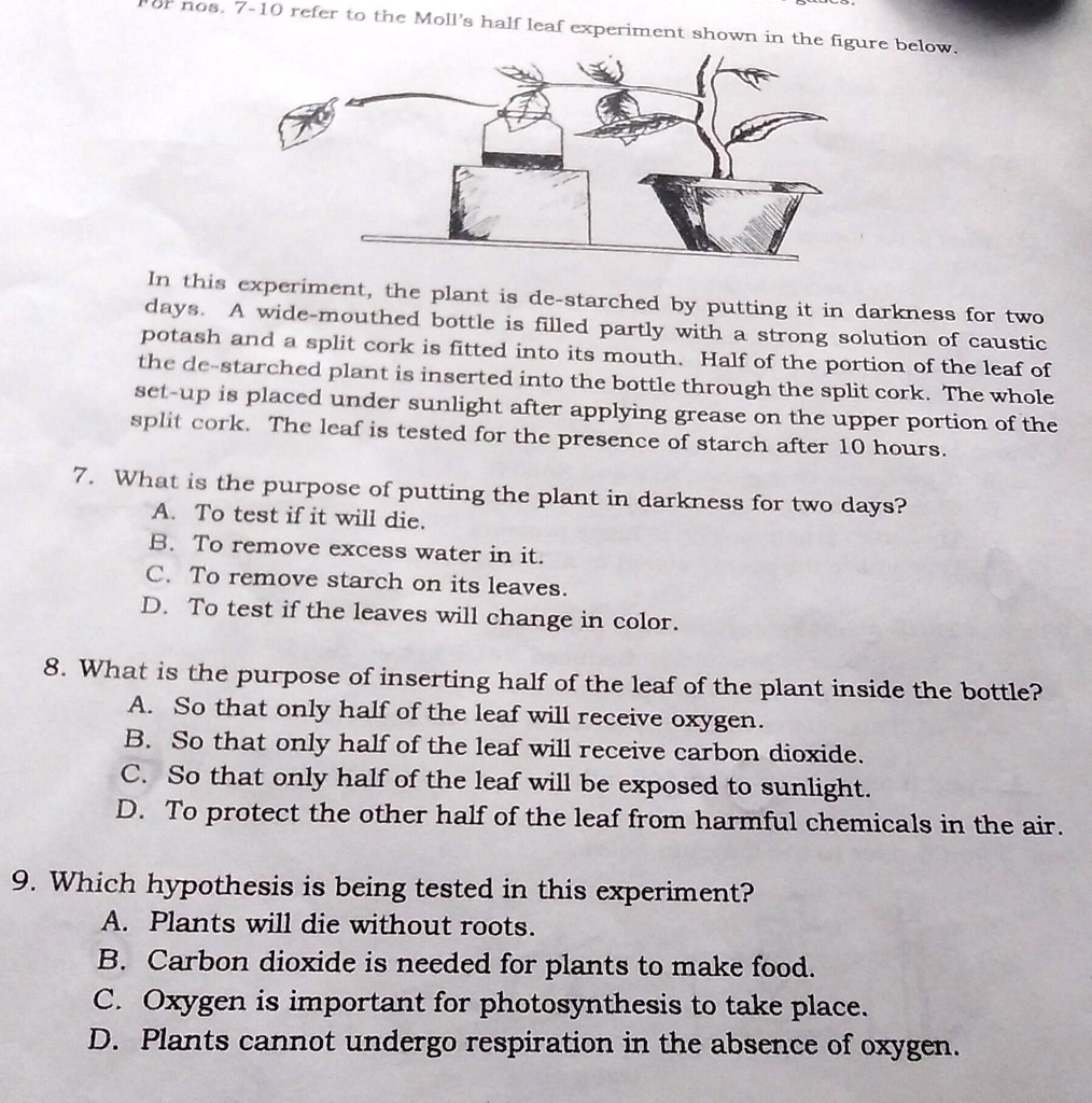 nos. 7-10 refer to the Moll's half leaf experiment shown in the figure ...