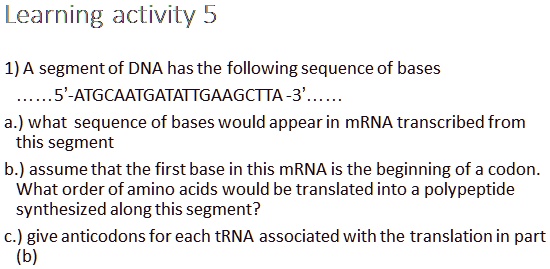 SOLVED: Learning activity 5 1)A segmentof DNA has the following sequence of bases 5 ...