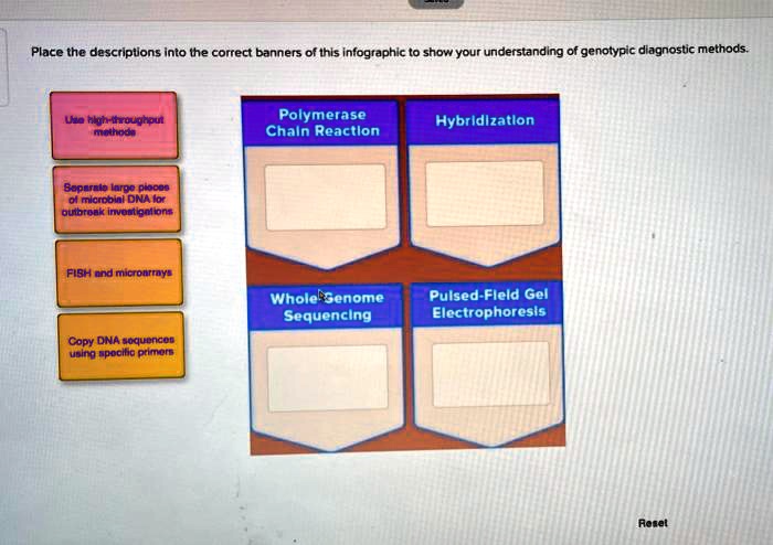 Place the descriptions into the correct banners of this infographic to ... Place the descriptions into the correct banners of this infographic to ...