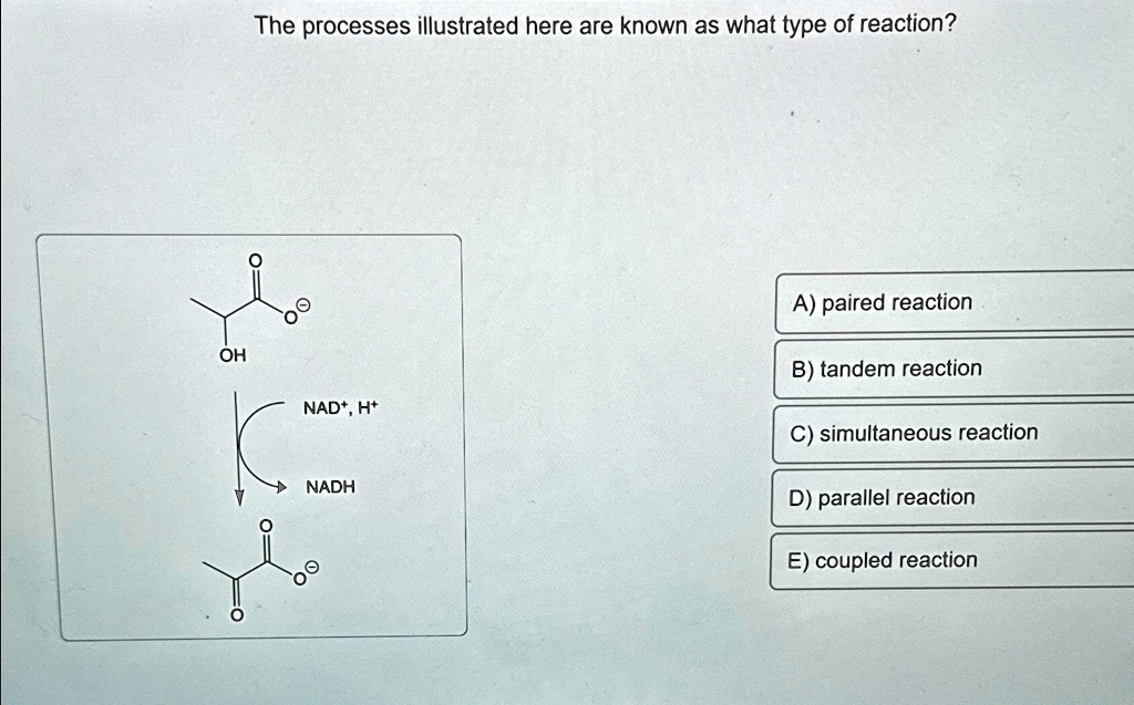 Solved The Processes Illustrated Here Are Known As What Type Of Reaction A Paired Reaction B