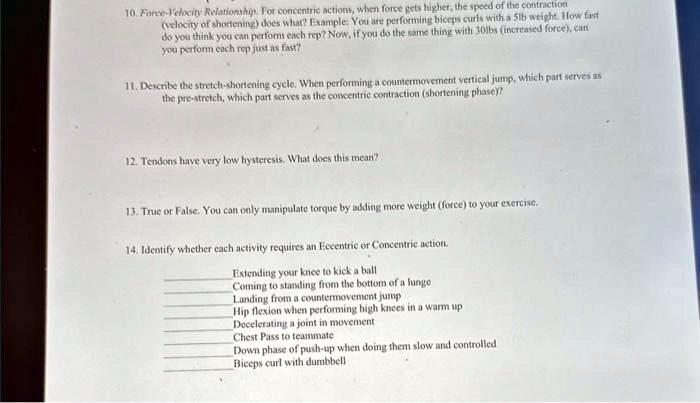 SOLVED: 10. Force-Velocity Relationship. For concentric actions, when ...