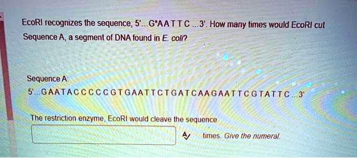 ecori recognizes the sequence 5 gaattc 3 how many times would ecori cut ...