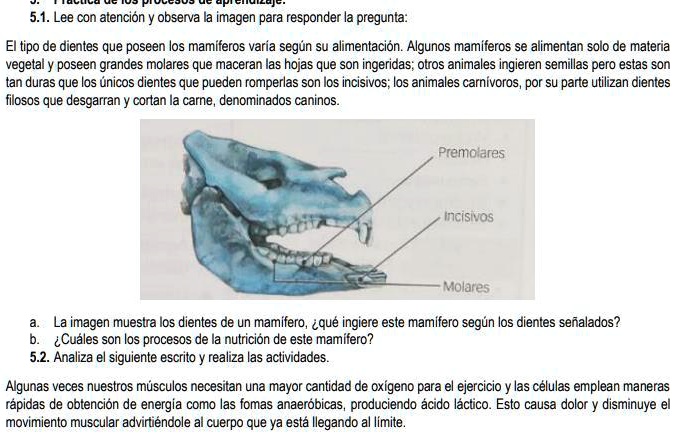 SOLVED: AYUDAAA POR FAVOR ES URGG 5.1. Lee con atención observa la ...