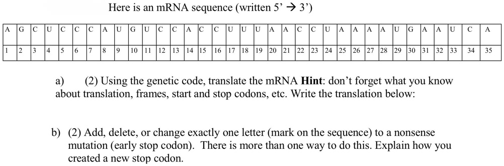 SOLVED: Here is an mRNA sequence written 5' 7 3') (2) Using the genetic ...