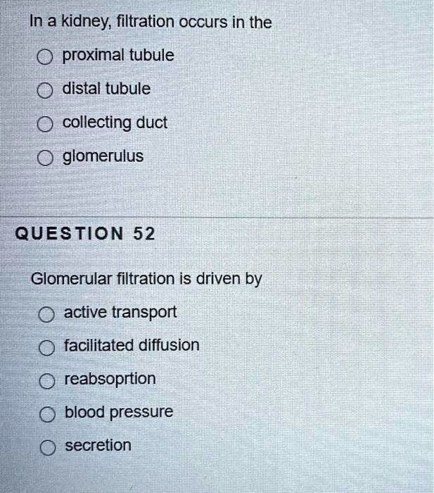 in a kidney filtration occurs in the 0 proximal tubule distal tubule collecting duct glomerulus ...