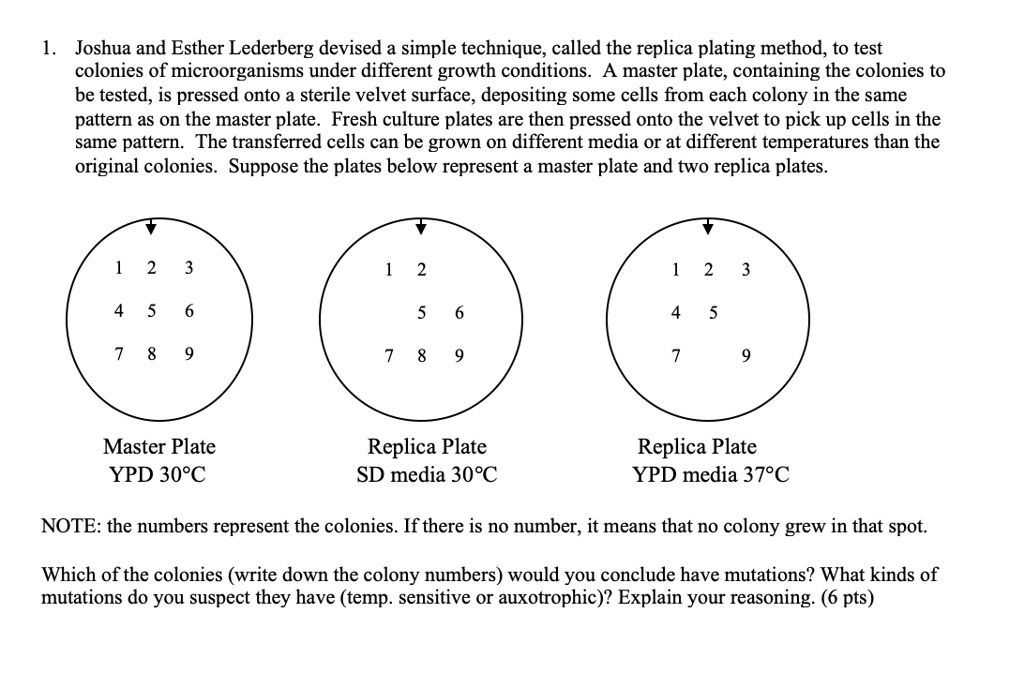 joshua and esther lederberg devised a simple technique called the ...