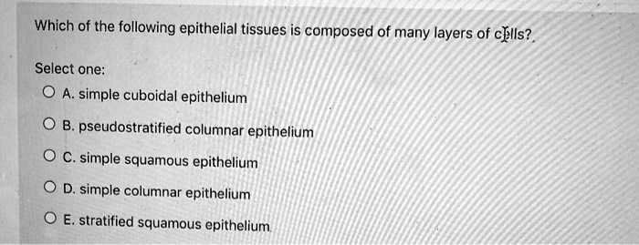 SOLVED: Which of the following epithelial tissues is composed of many layers of cells? Select ...