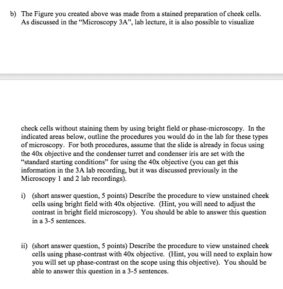 SOLVED: The Figure YOu created above was made from stained preparation ...