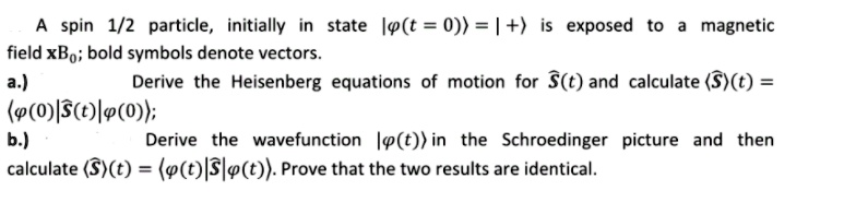 SOLVED: A spin 1/2 particle, initially in state |t=0âŸ©=|+âŸ©, is exposed to a magnetic field ...