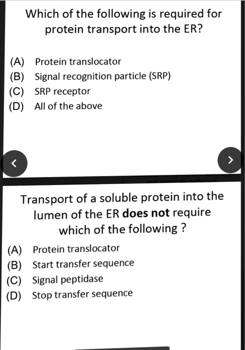 Which of the following is required for protein transport into the ER ...