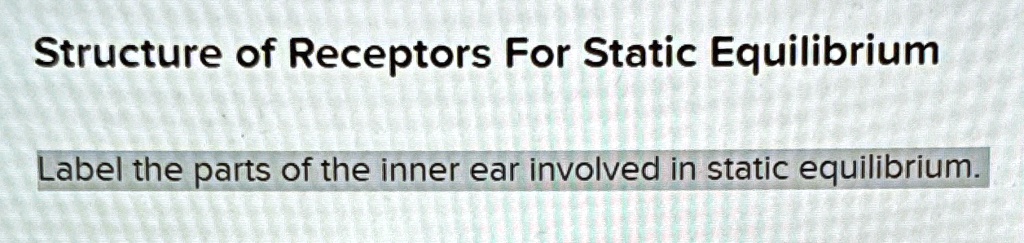Structure of Receptors For Static Equilibrium Label the parts of the ...