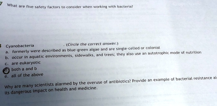 SOLVED: five safety factors consider when working Wiln bacteria ...