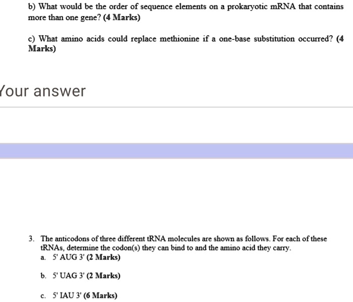 SOLVED: 6) What would be the order of sequence elements On prokaryotic ...