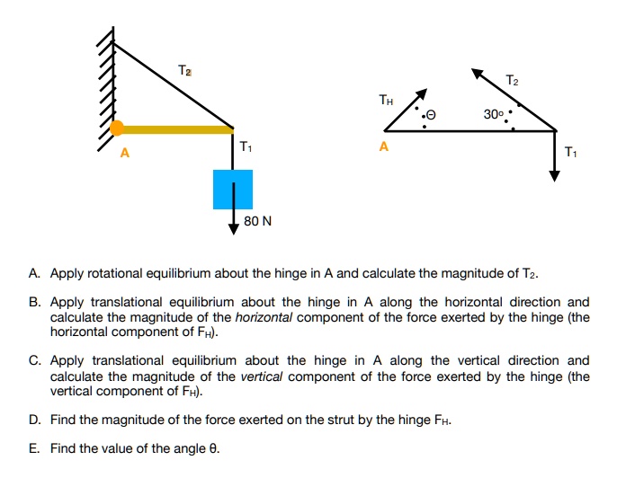 SOLVED: 30o 80 N Apply rotational equilibrium about the hinge in A and ...