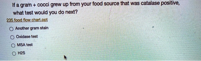 SOLVED: If a gram + cocci grew Up from your food source that was ...