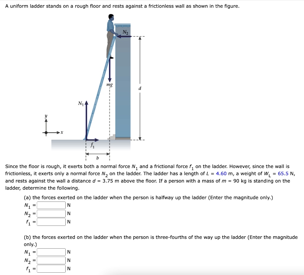 SOLVED: A uniform ladder stands on a rough floor and rests against a ...