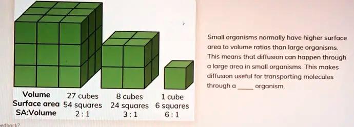 Cube Surface Area To Volume Ratio