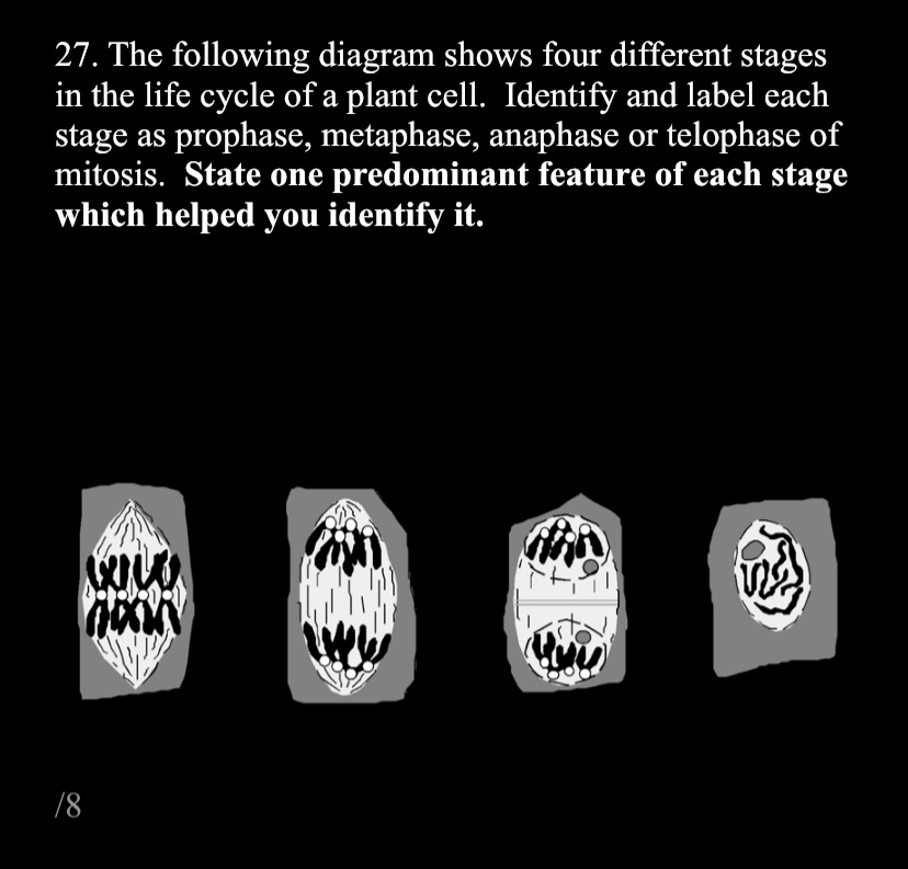 SOLVED: 27. The following diagram shows four different stages in the ...