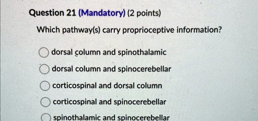 SOLVED: Question 21 (Mandatory) (2 points) Which pathway(s) carry ...