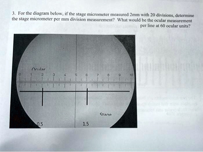 for the diagram below ifthe stage micrometer measured zmm with 20 ...