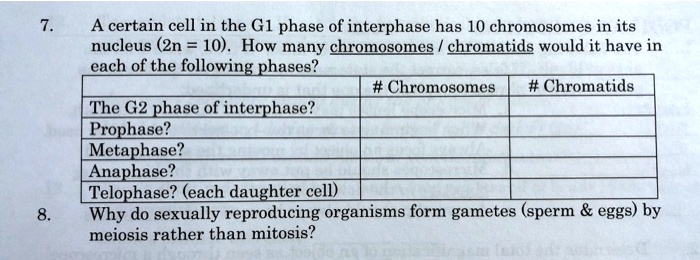 7. A certain cell in the G1 phase of interphase has 10 chromosomes in ...