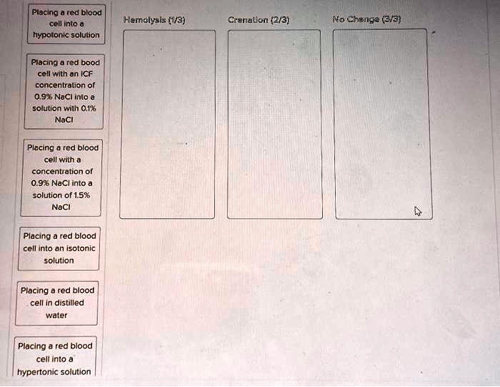 Placing a red blood cell into a hypotonic solution Placing a red bood ...