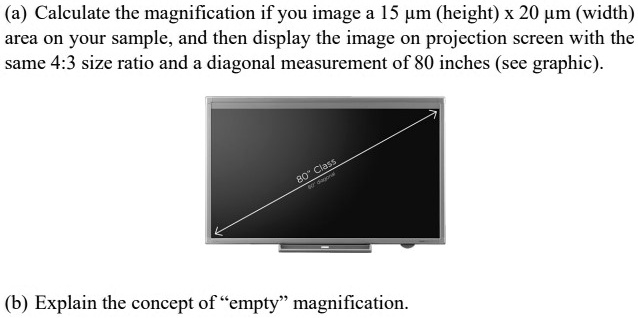 (a) Calculate the magnification if you image a 15 µm (height) x 20 µm ...