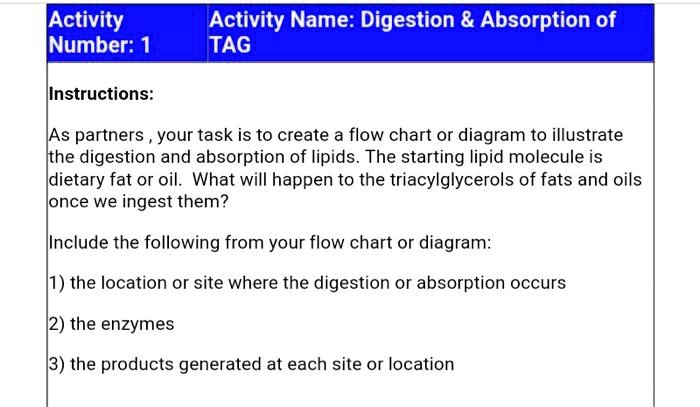 activity number 1 activity name digestion absorption of tag ...