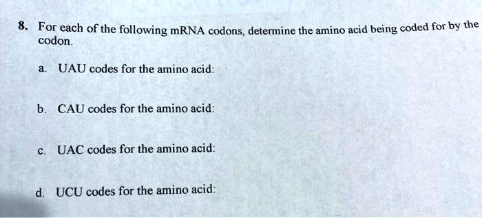 SOLVED: For each of the following mRNA codons, determine the amino acid ...