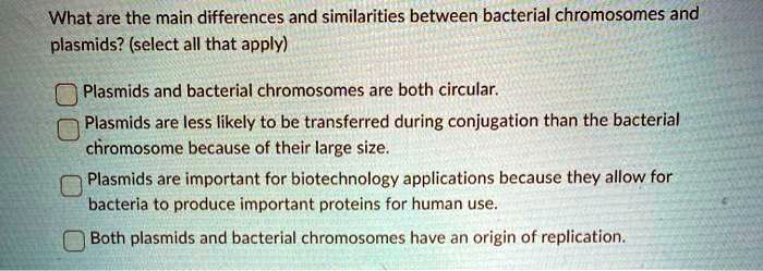 SOLVED: What are the main differences and similarities between bacterial chromosomes and ...