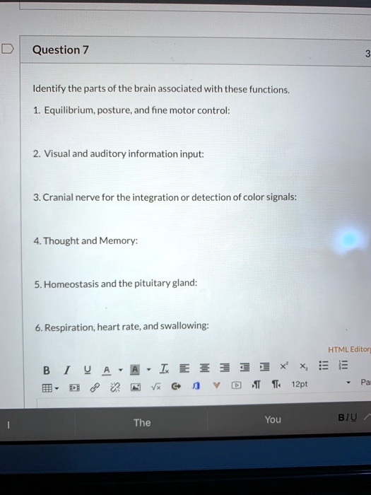 question 7 identify the parts of thc brain associated with these functions equilibrium ...