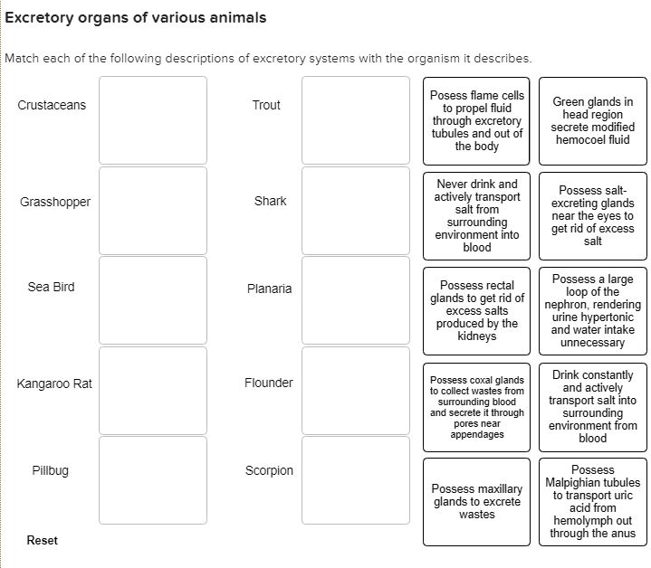 Excretory organs of various animals Match each of the following ...