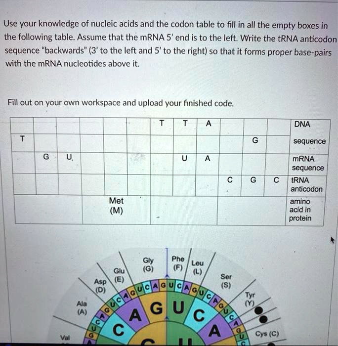 use your knowledge of nucleic acids and the codon table to fill in all the empty boxes in the ...