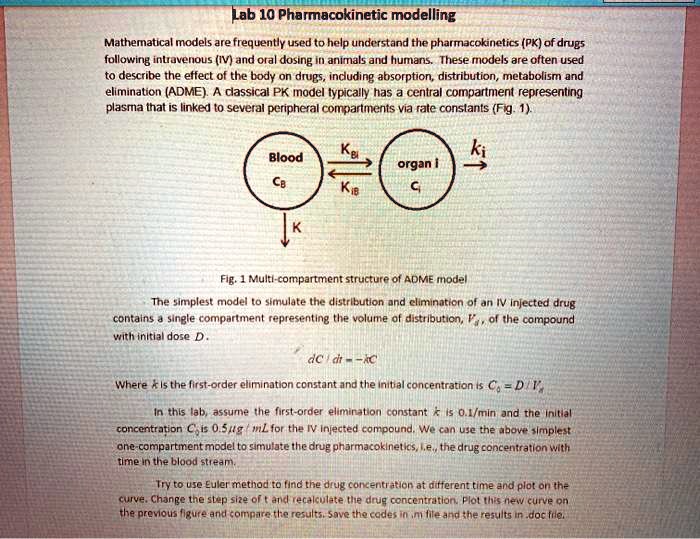 lab 10 pharmacokinetic modelling mathematical models are frequently ...