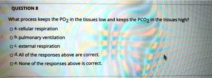 SOLVED: What process keeps the PO2 in the tissues low and keeps the ...