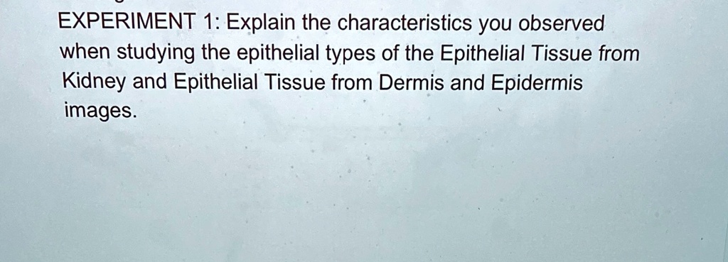 EXPERIMENT 1: Explain the characteristics you observed when studying ...