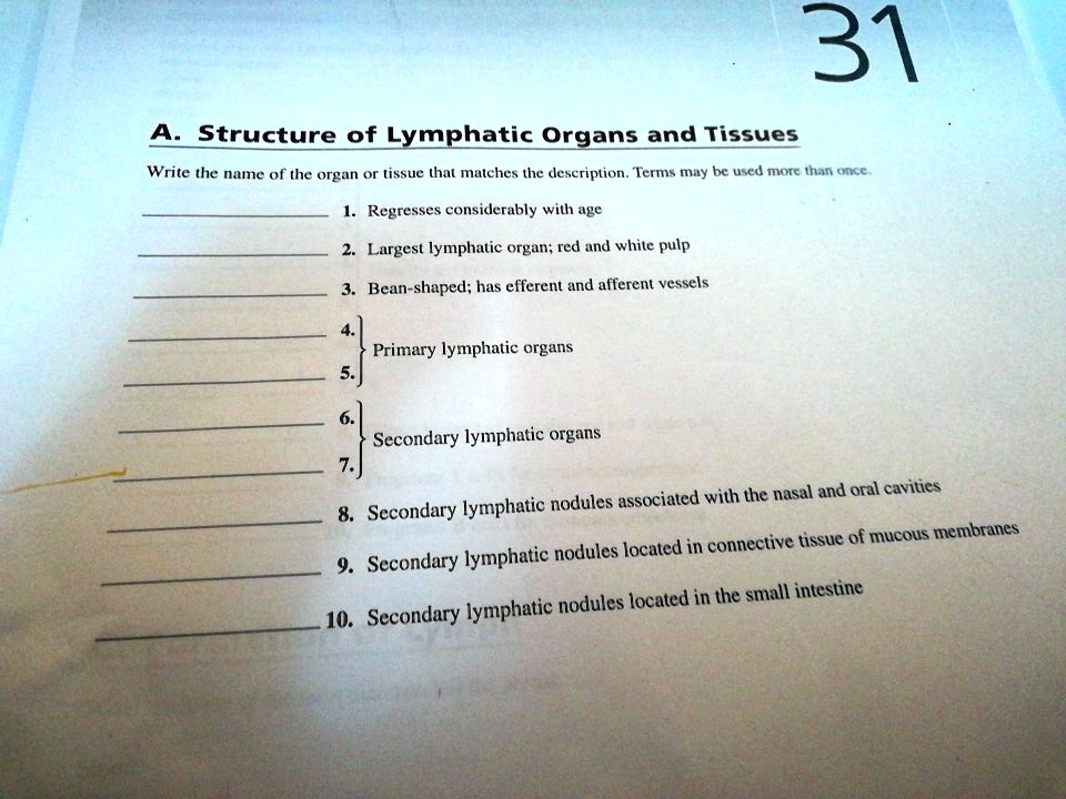 Solved Answer 1 10 Plz 31 A Structure Of Lymphatic Organs And Tissues Write The Name Of The