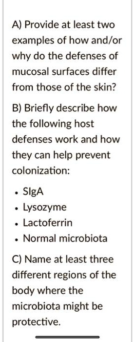 SOLVED:A) Provide at least two examples of how and/or why do the ...