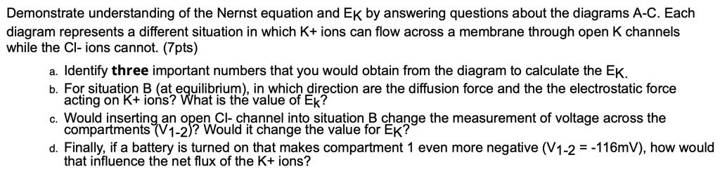 SOLVED: Demonstrate understanding of the Nernst equation and EK by ...
