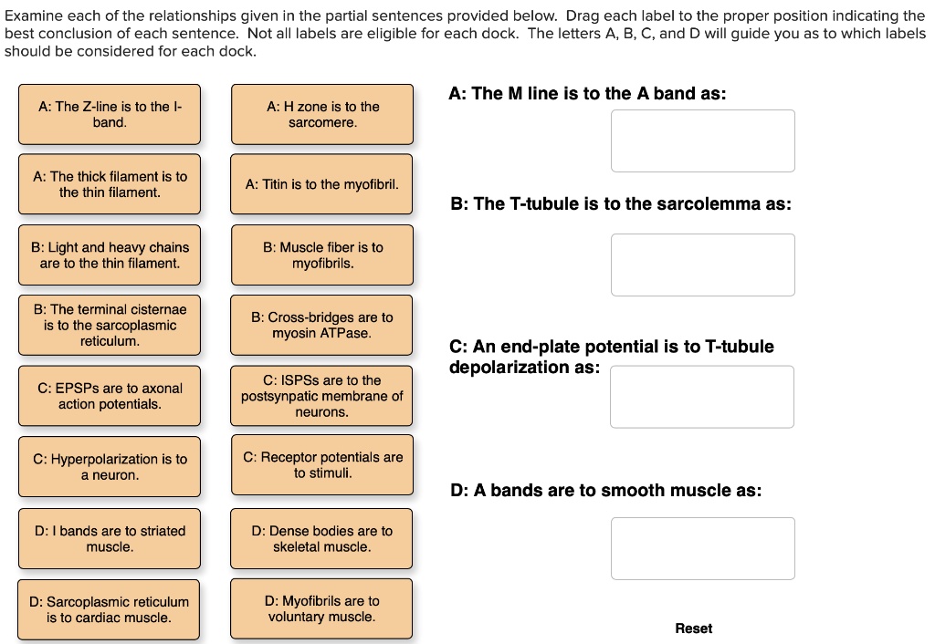 Examine each of the relationships given in the partial sentences ...