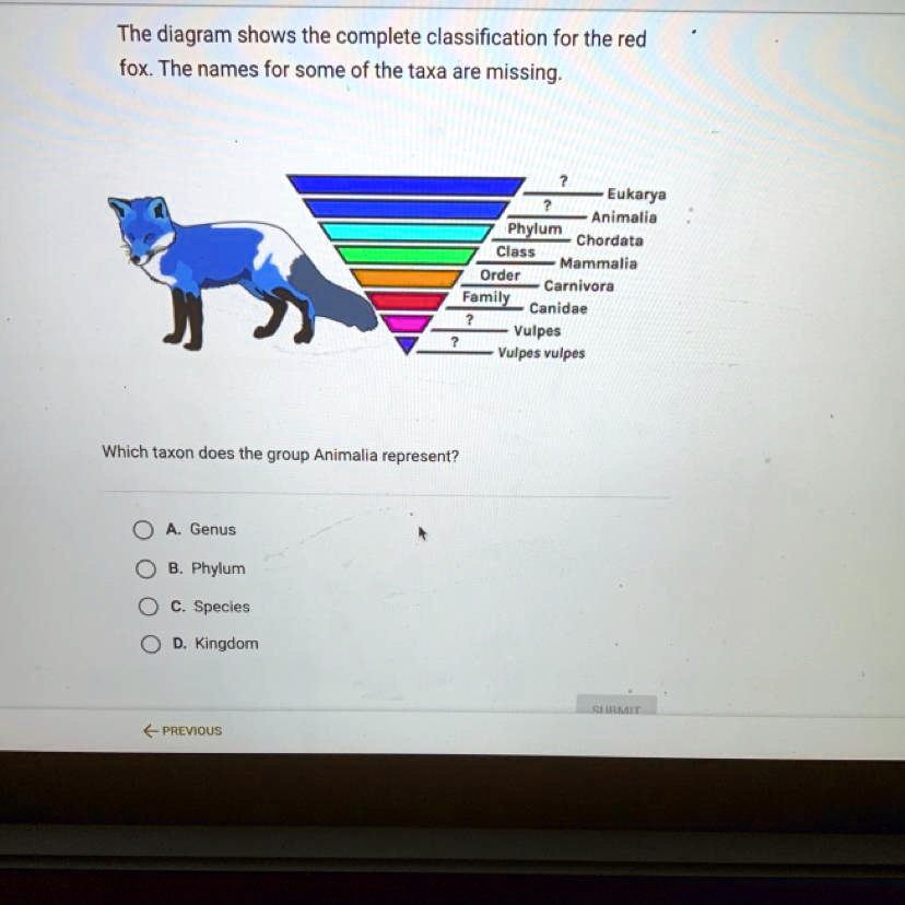 help please im begging the diagram shows the complete classification ...