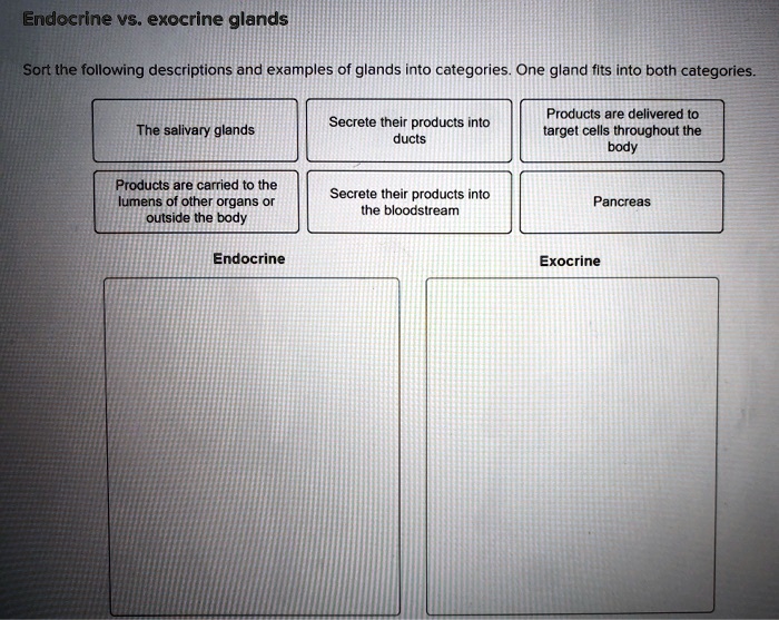 SOLVED: Endocrine vs: exocrine glands Sort the following descriptions and examples of glands ...