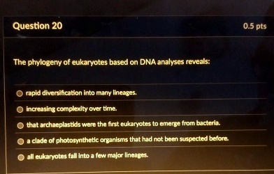 question 20 05 pts the phylogeny of eukaryotes based on dna analyses ...