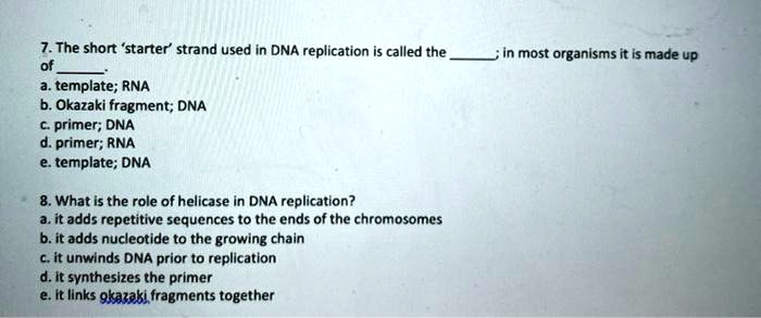 7 the short starter strand used in dna replication called the in most ...