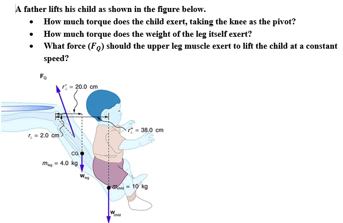 A father lifts his child as shown in the figure below. * How much ...