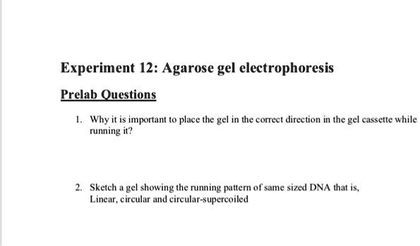 experiment 12 agarose gel electrophoresis prelab questions why it is ...