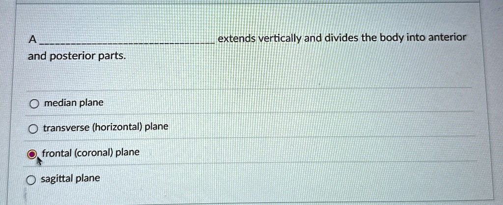 a extends vertically and divides the body into anterior and posterior ...